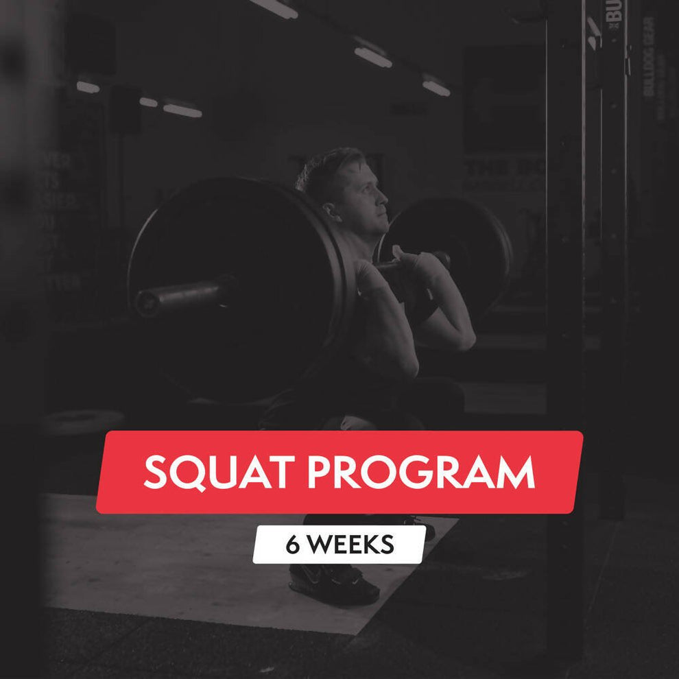 Gabriel Sincraian 6 Week Squat Program - Lift Vault Market – Lift Vault ...